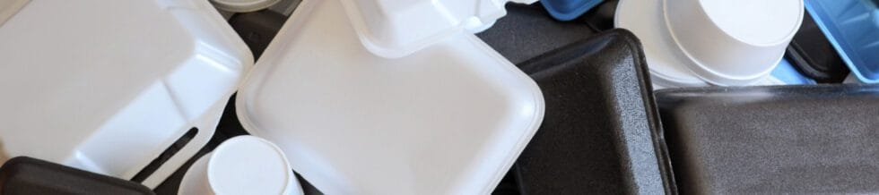 Federal Ban on Single Use Plastics - Eco Guardian Inc. | Compostable ...
