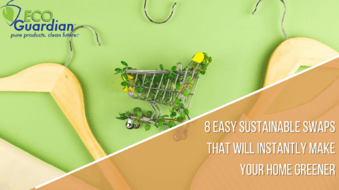 8 Easy Sustainable Swaps For Everyday Items - Eco Guardian Inc ...
